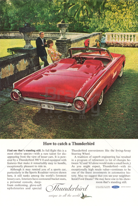 THUNDERBIRD - How to catch a Thunderbird. | Brand-History