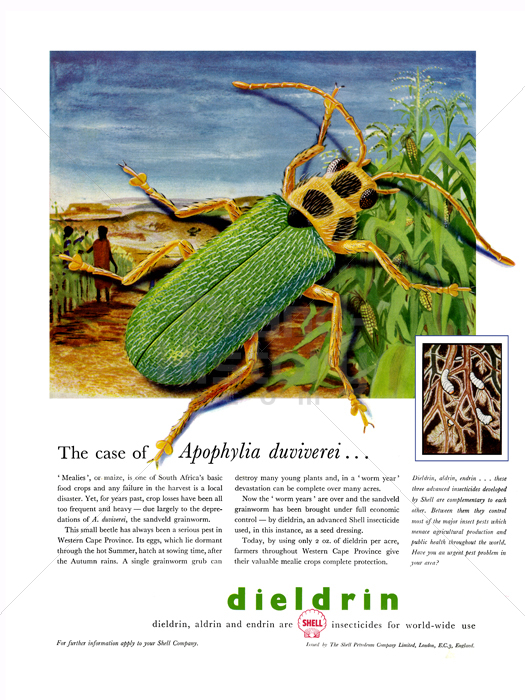 SHELL - SHELL dieldrin · The case of Apophylia duviverei ...