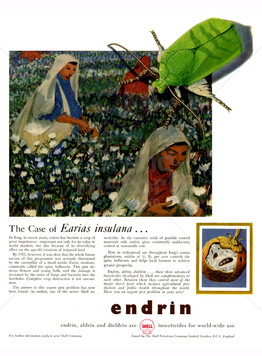 SHELL - SHELL endrin · The case of Earias insulana . . . · endrin ...