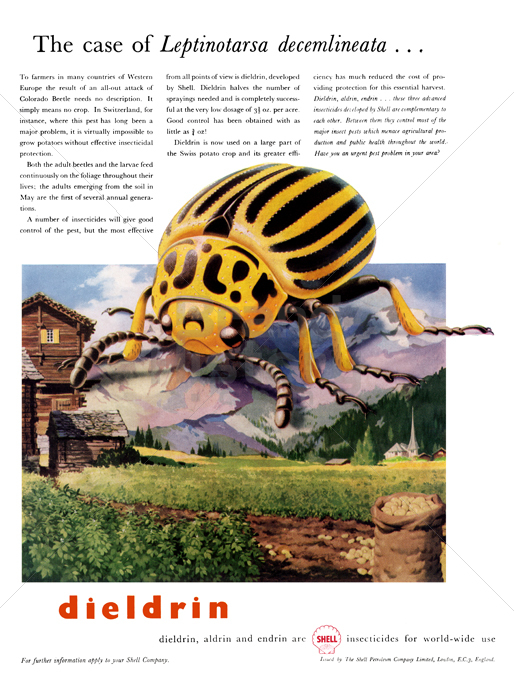 SHELL - SHELL dieldrin · The case of Leptinotarsa decemlineata ...